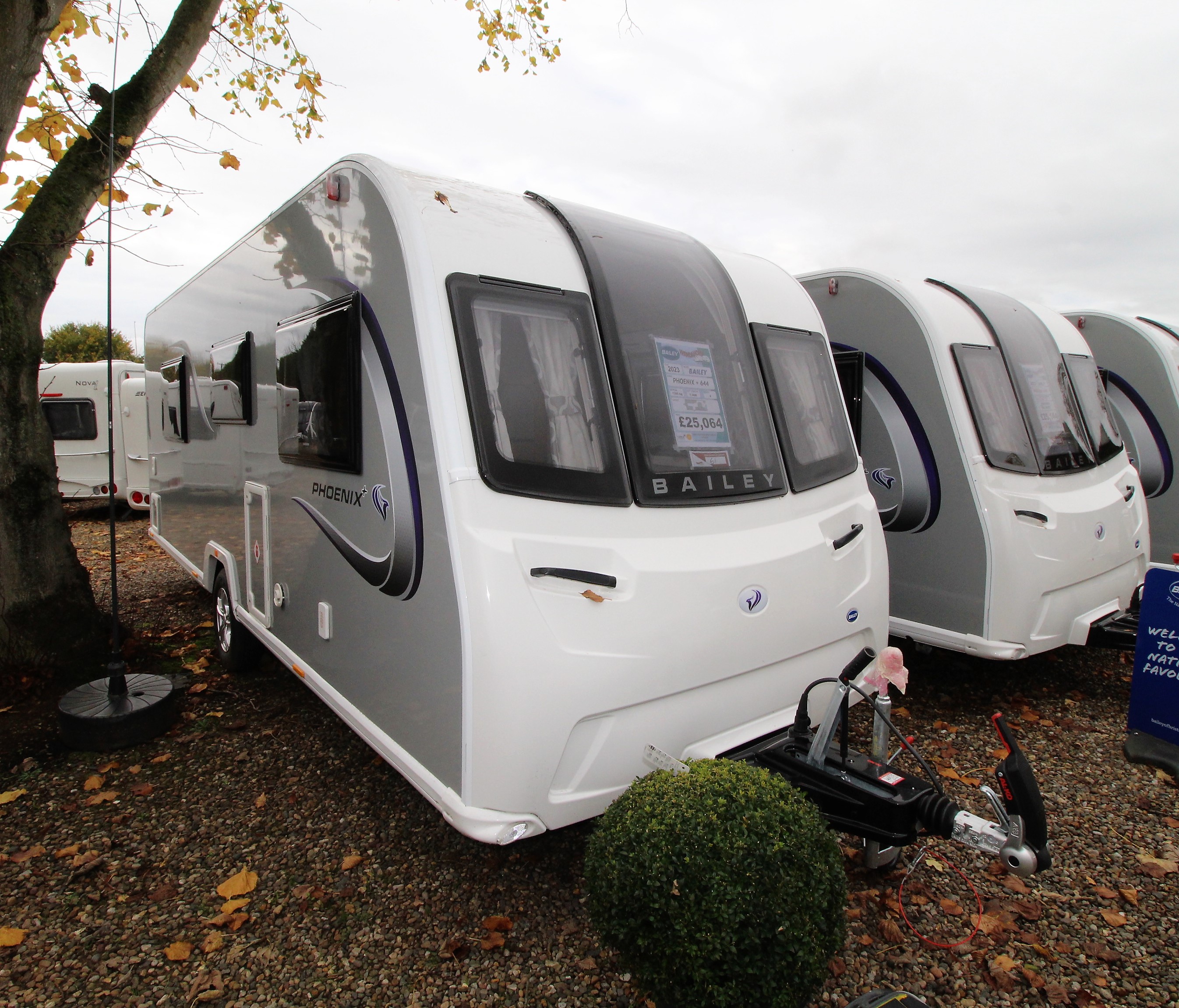 New Bailey Phoenix+ 644 *** 2023